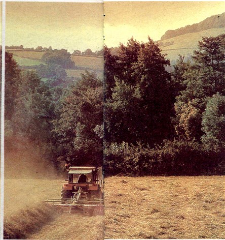 ANCIENT SOLAR TERMS STILL HOLD MEANING TCAY--嘉定报