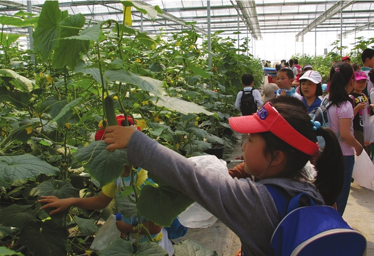 Playing Farmer for a Day in Wushe--松江报